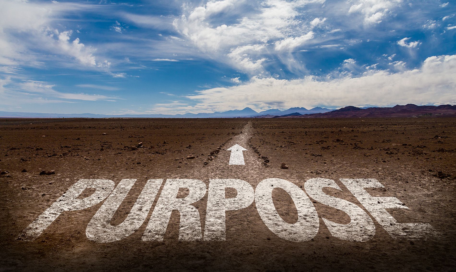 The Power of Purpose in Business | Business Mentoring UK